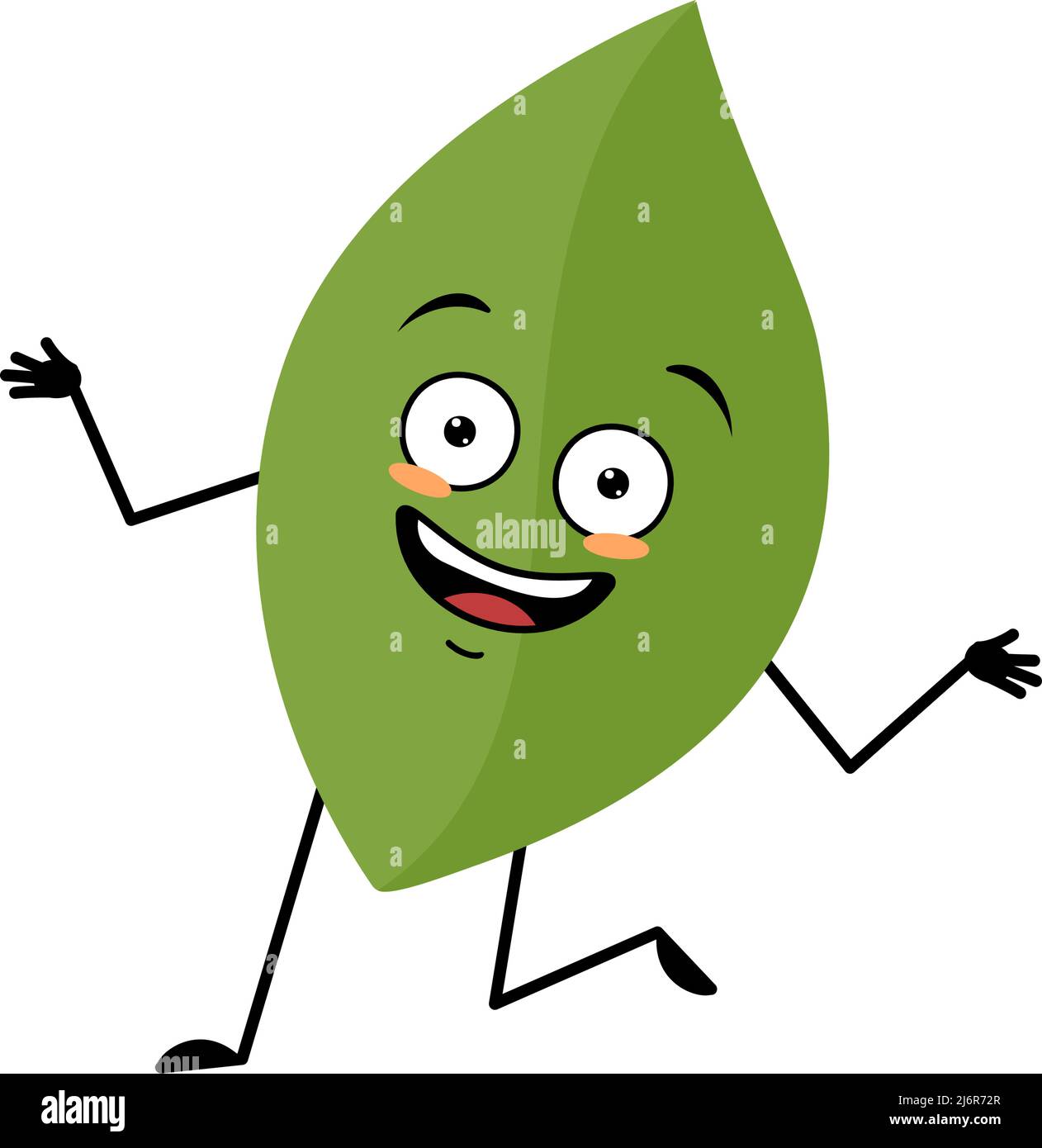 Cartoon Leaf With Face