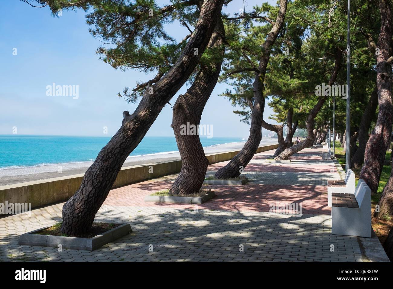 Kobuleti park hi-res stock photography and images - Alamy