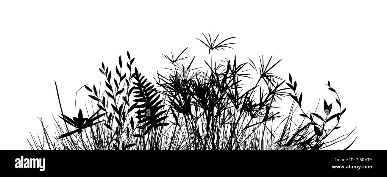 Tall Grass Silhouette Vector