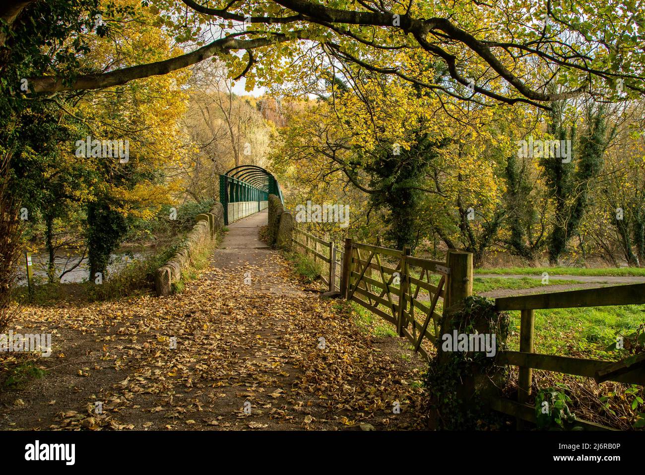 Buck mill bridge hi-res stock photography and images - Alamy