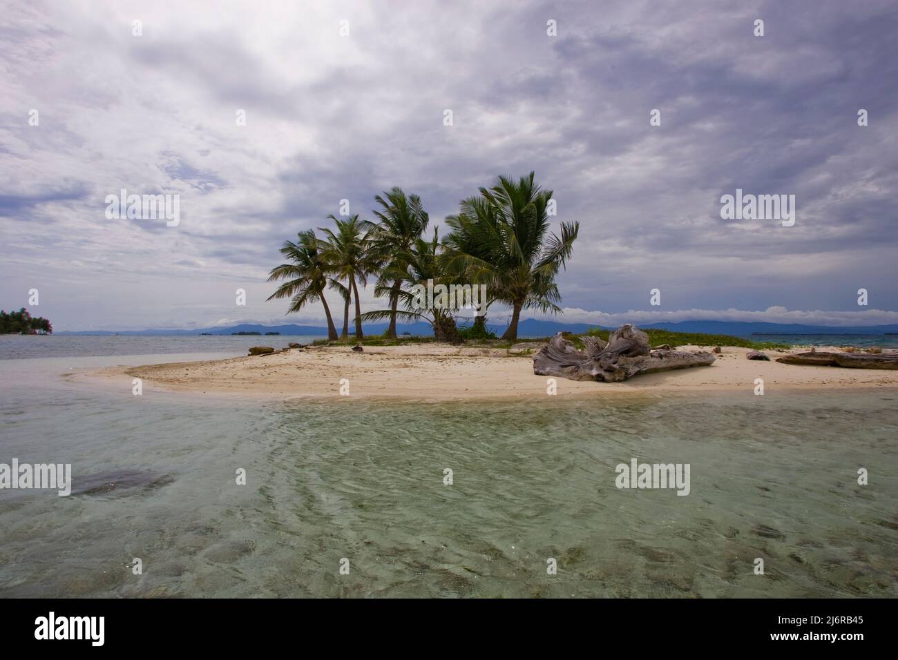 Coconut palms in San Blas Islands of Panama Stock Photo - Alamy