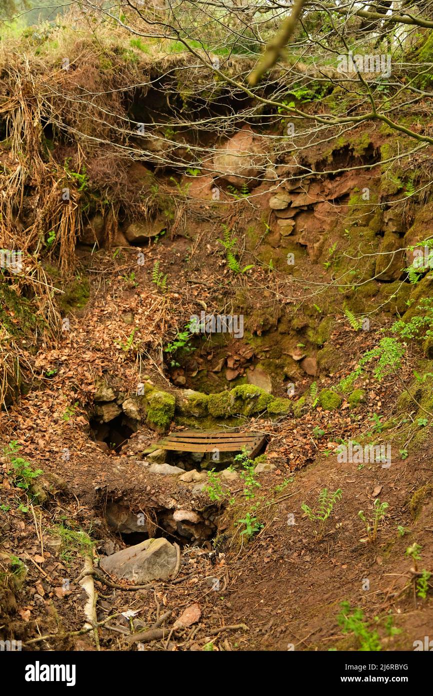 May 2022 - Blocked off pot hole entrance near Priddy in the Mendip ...