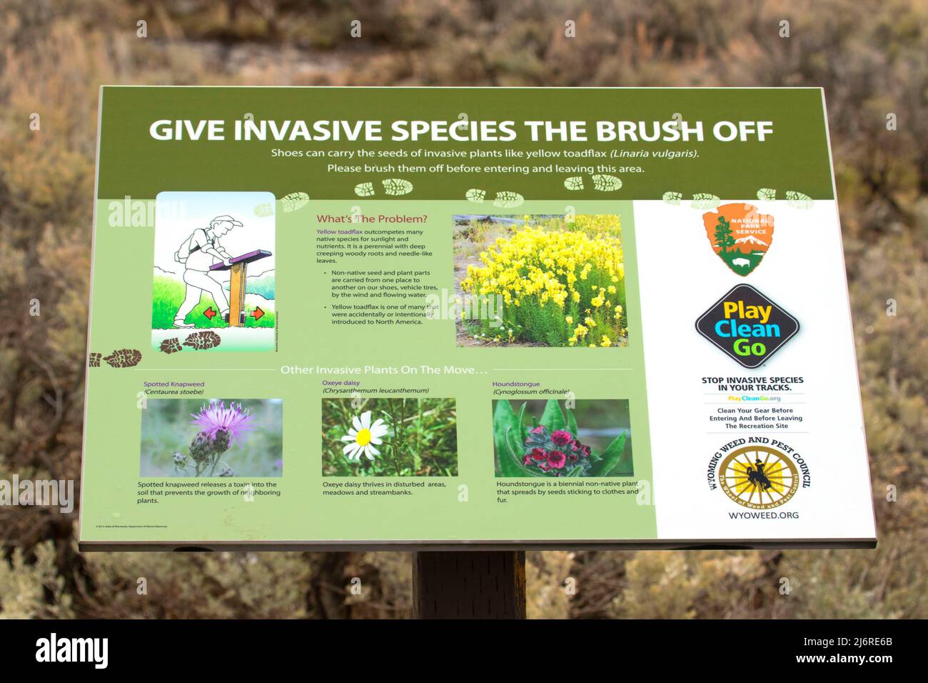 Invasive species sign, Yellowstone National Park, Wyoming Stock Photo ...