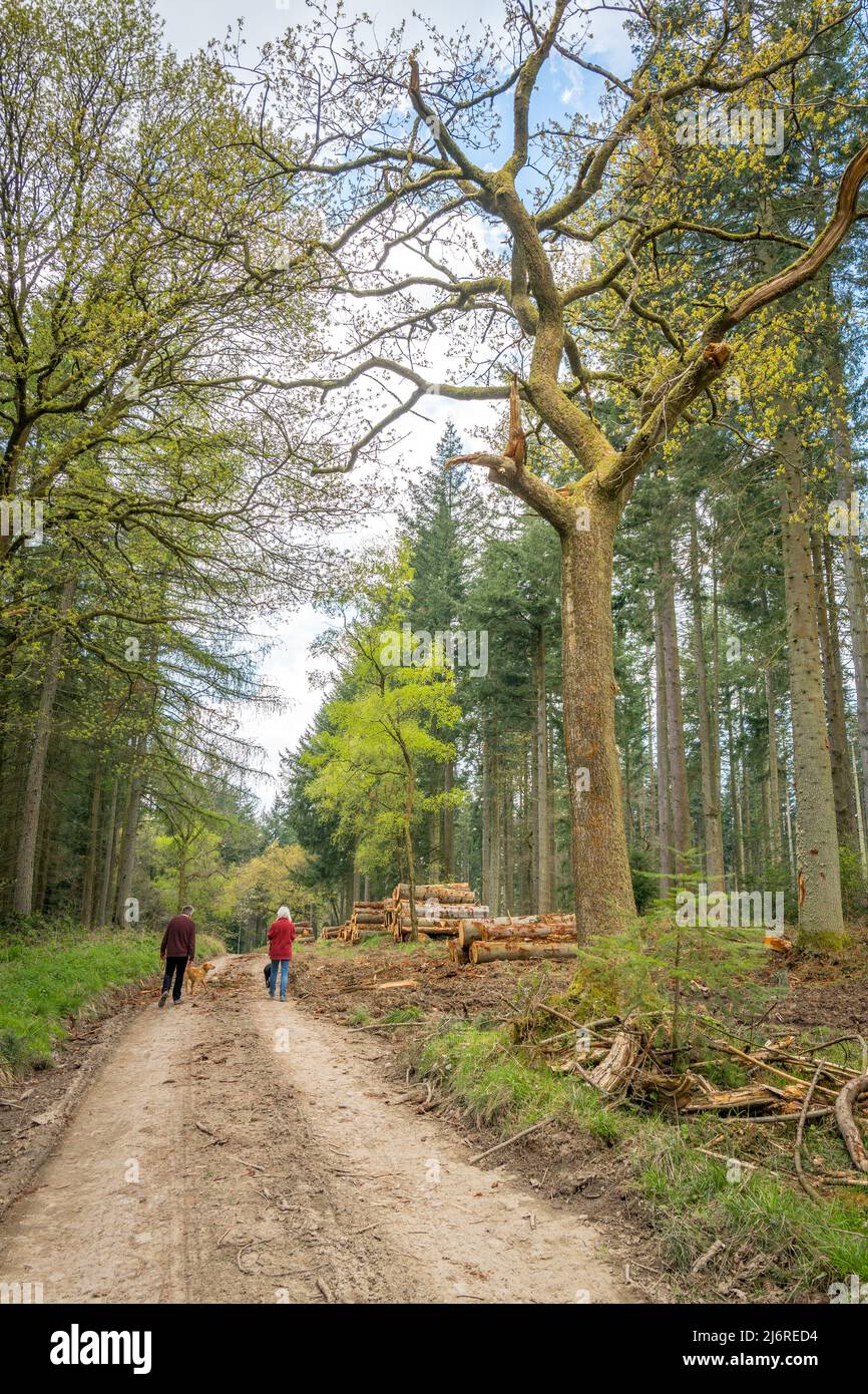 Walkers walking along the Mortimer Trail, a waymarked long-distance ...