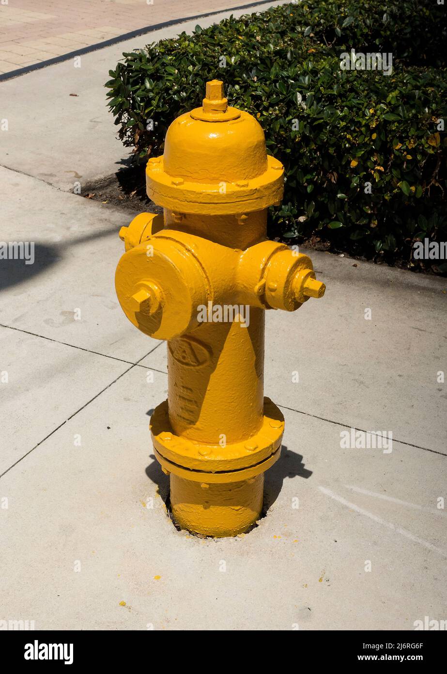 Fire hydrant on sidewalk Miami, Florida, USA Stock Photo - Alamy