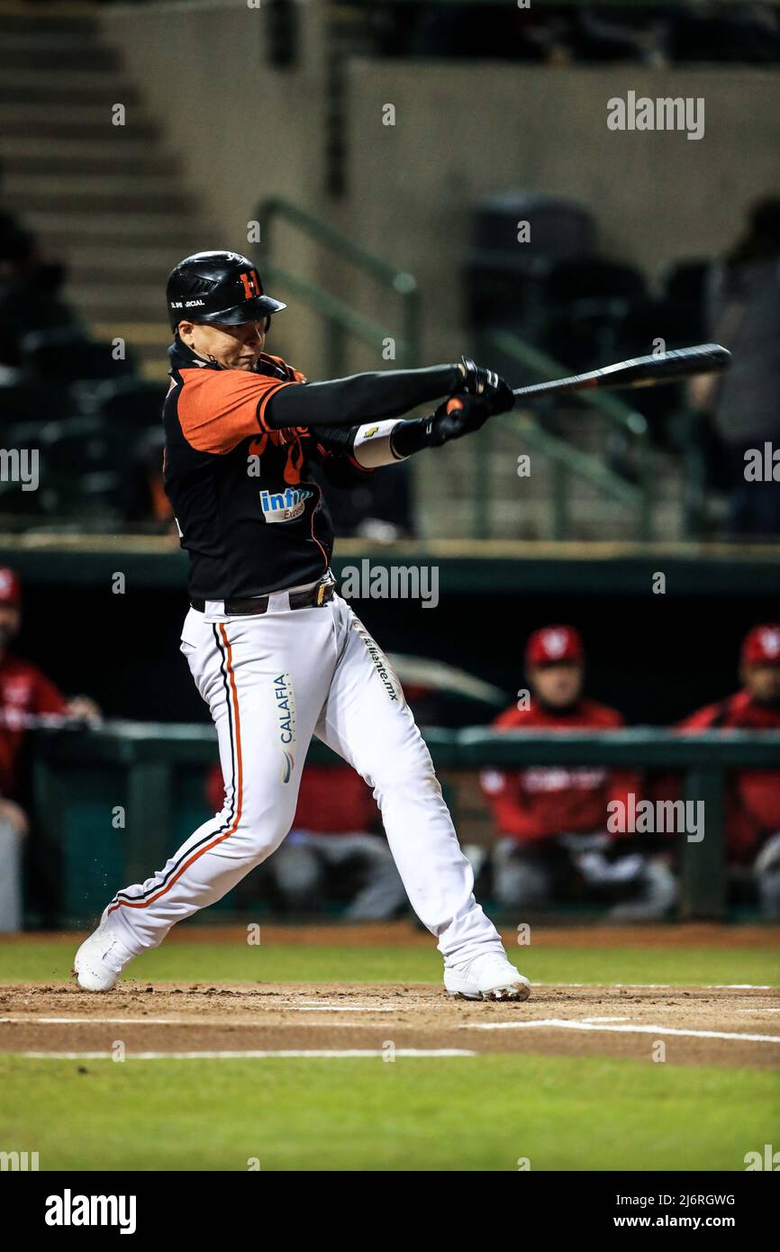 Acciones del partido de beisbol entre Venados de Mazatlan vs Naranjeros ...