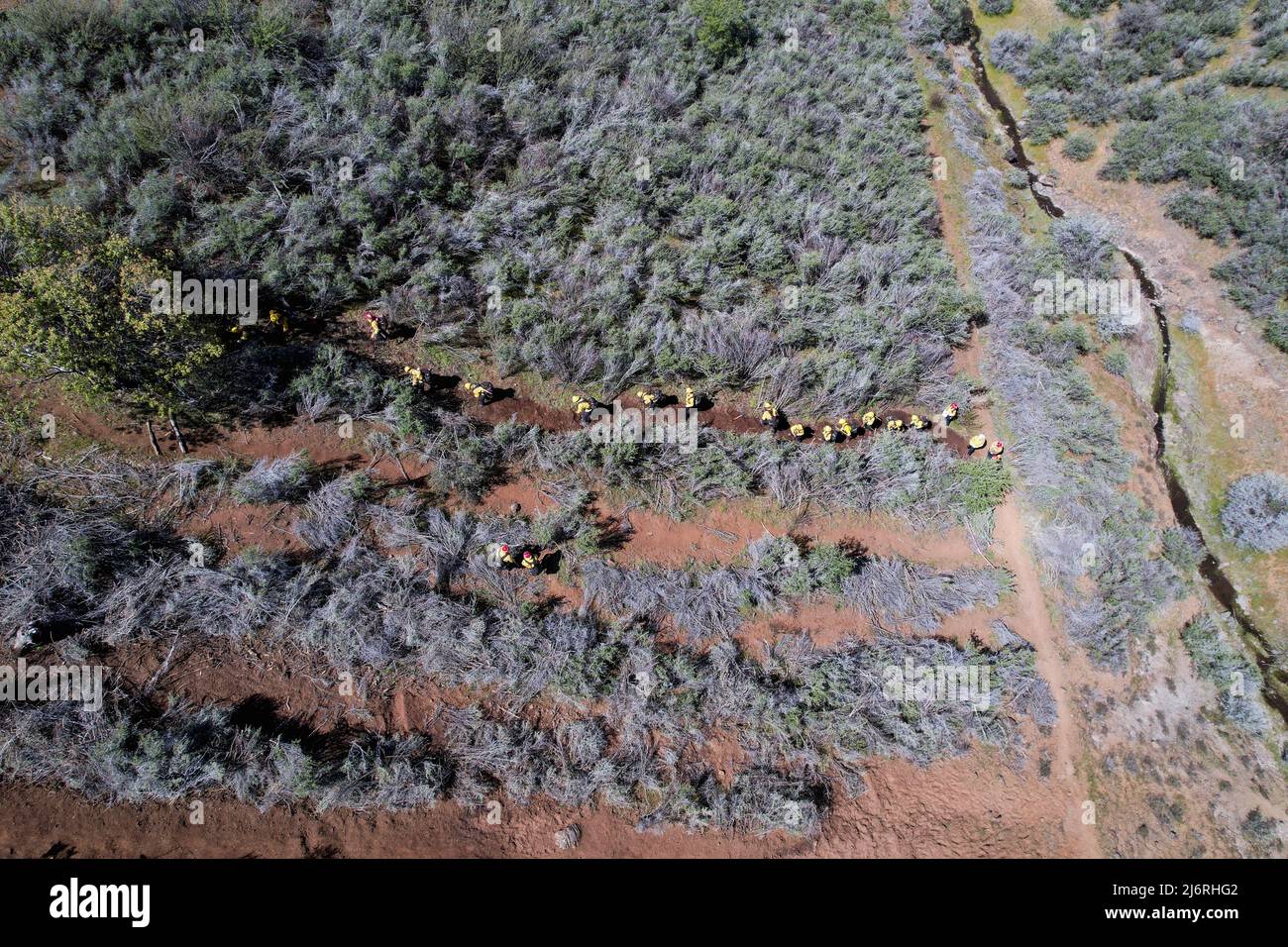 Ishi california hi-res stock photography and images - Alamy