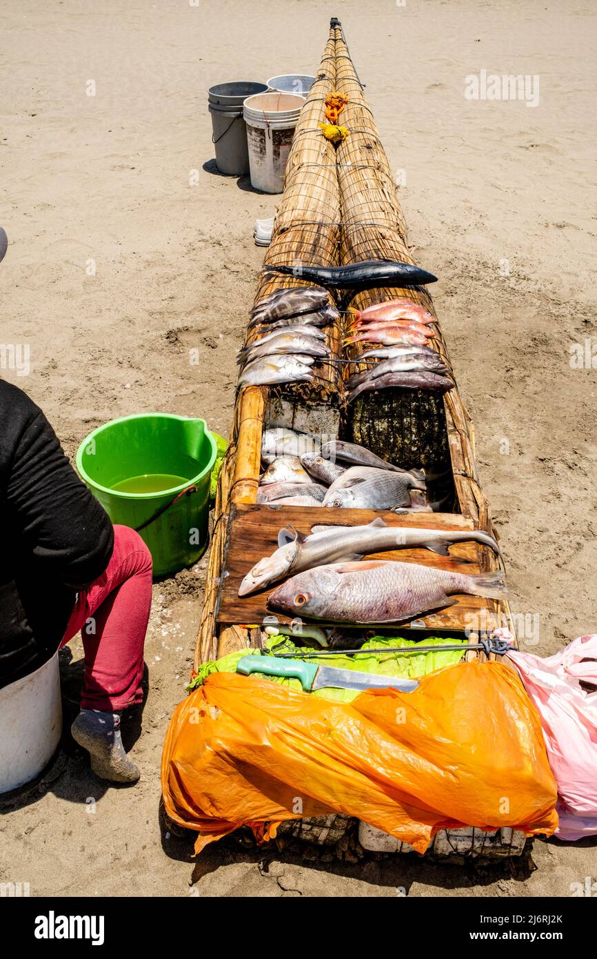 Local People Selling Fresh Fish From Their Caballitos De Totora ...