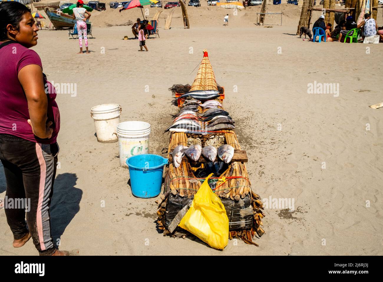 Local People Selling Fresh Fish From Their Caballitos De Totora ...