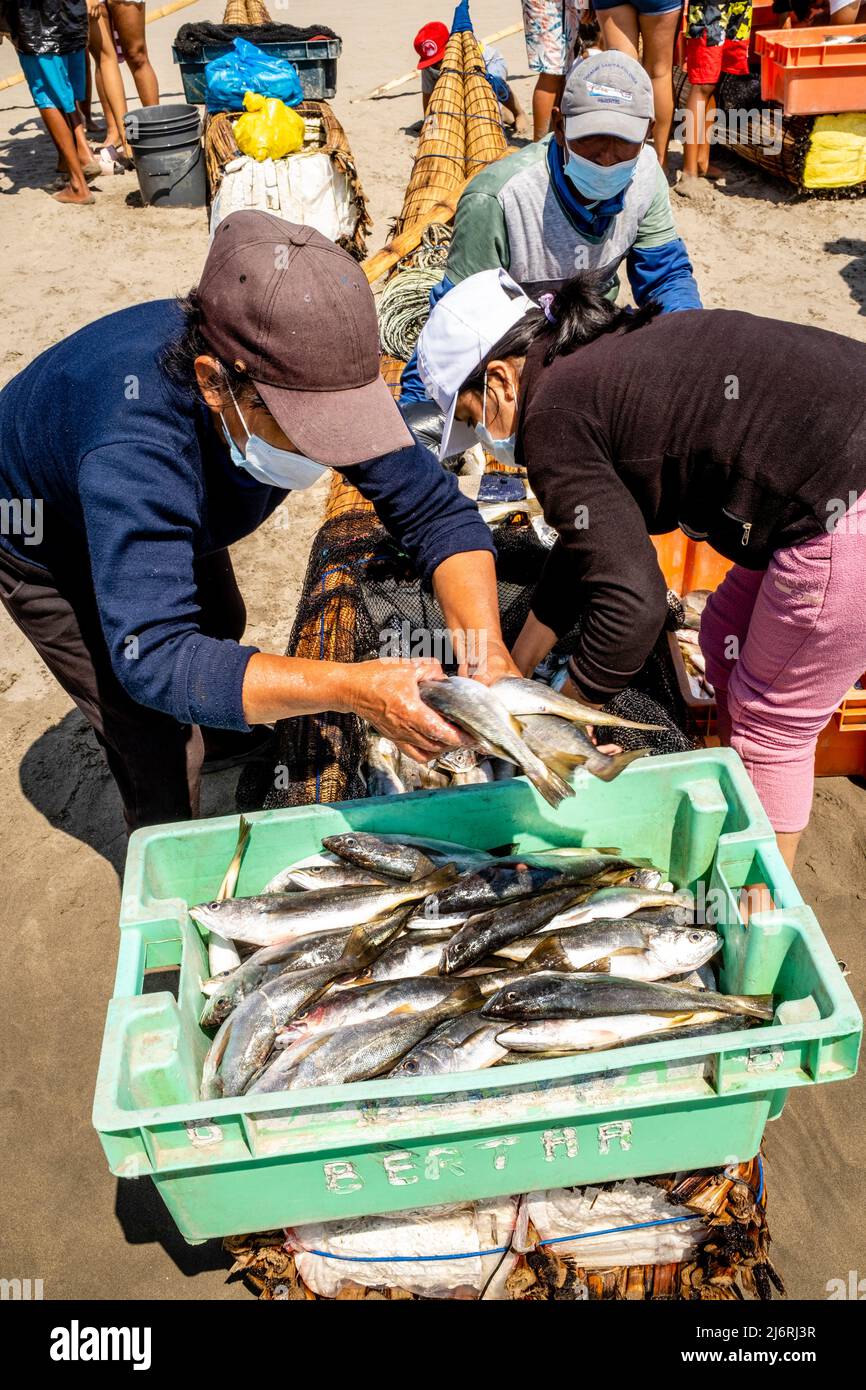Local People Selling Fresh Fish From Their Caballitos De Totora ...