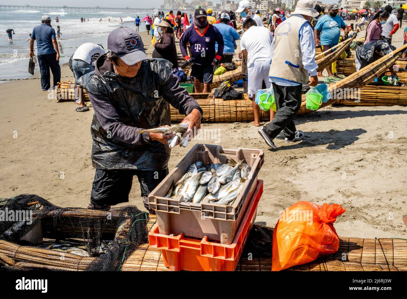 Local People Selling Fresh Fish From Their Caballitos De Totora ...