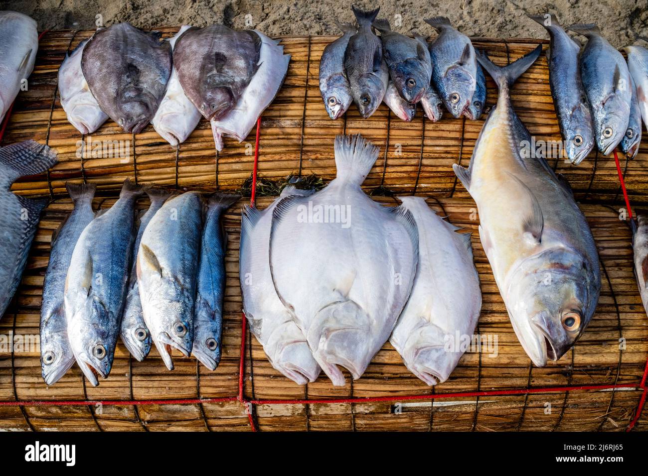 Freshly Caught Fish For Sale On A Caballito de Totoro (Traditional Reed ...