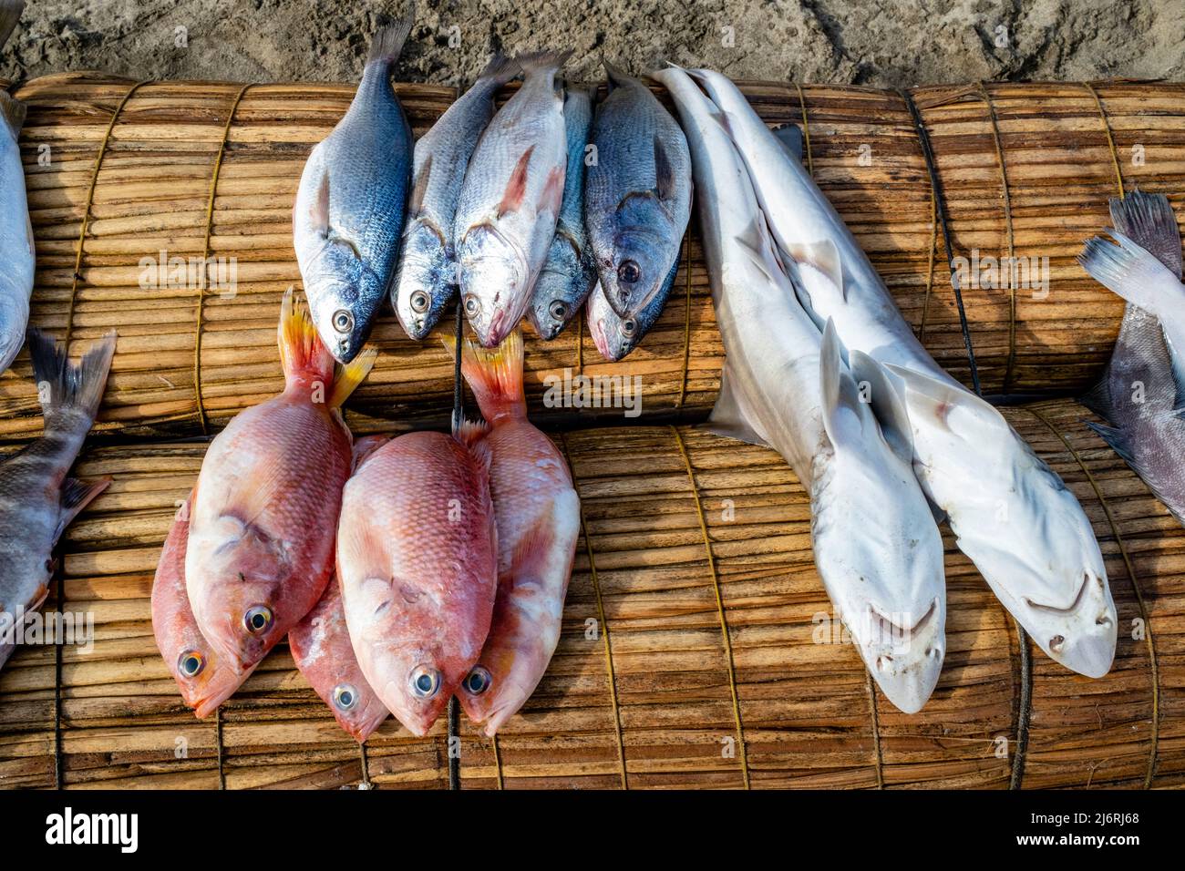 Caballitos de totoro hi-res stock photography and images - Alamy