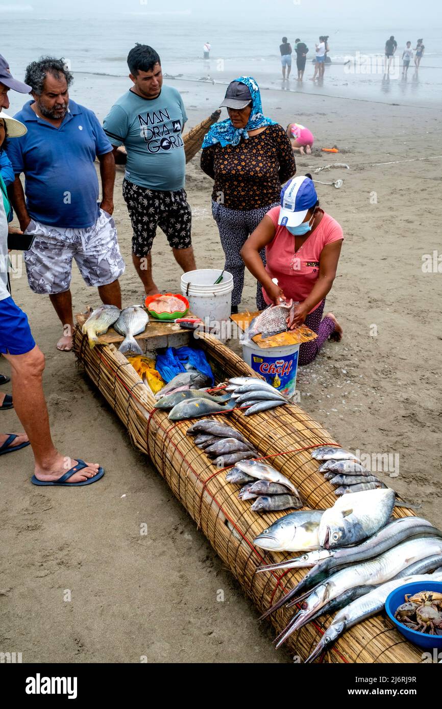 Local People Selling Fresh Fish From Their Caballitos De Totora ...