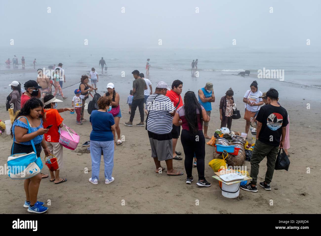 Local People Selling Fresh Fish From Their Caballitos De Totora ...
