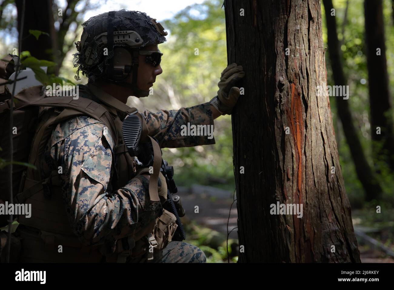U s marine corps sgt tyler hi-res stock photography and images - Alamy