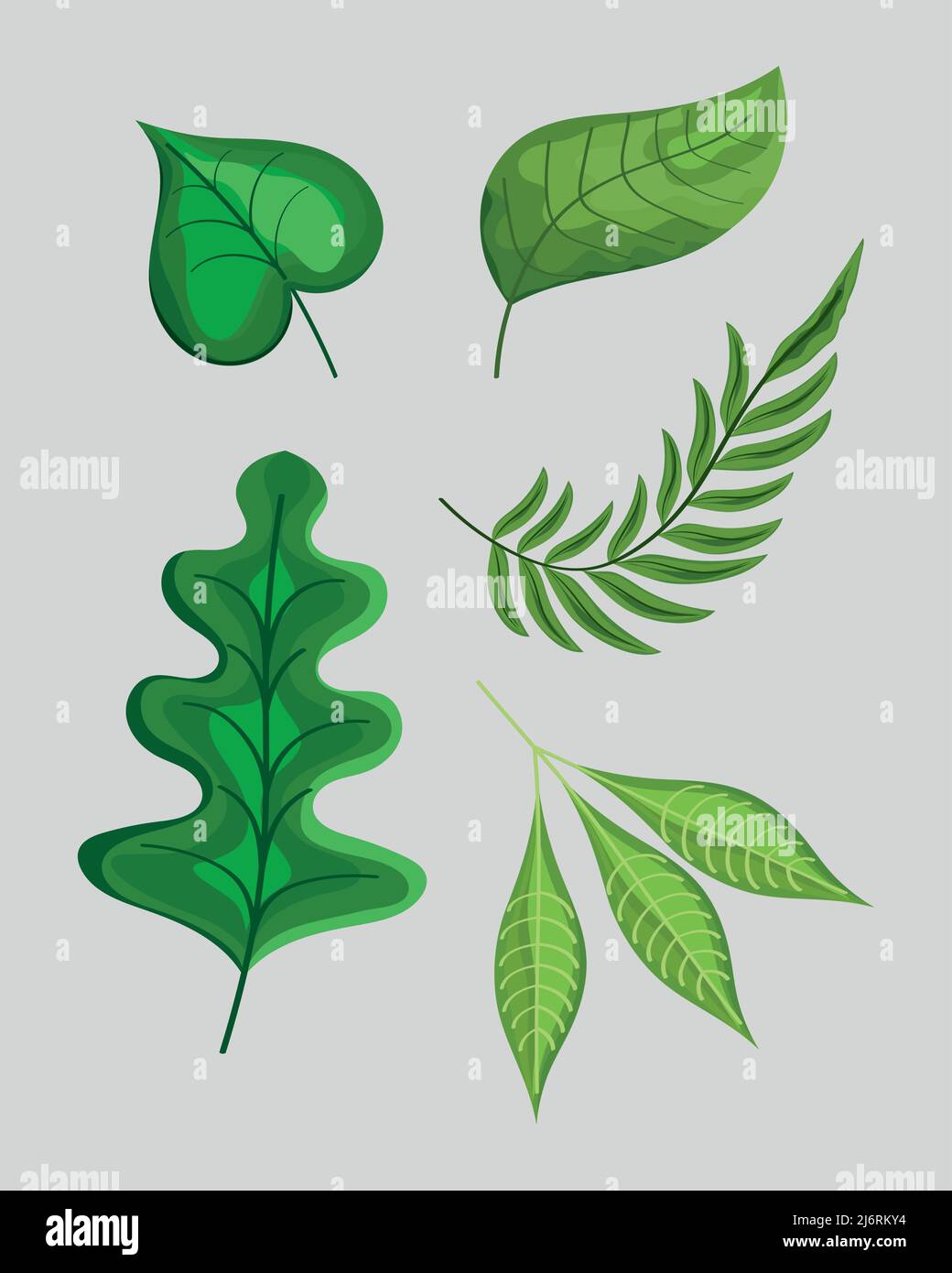 five leaves plants icons Stock Vector Image & Art - Alamy