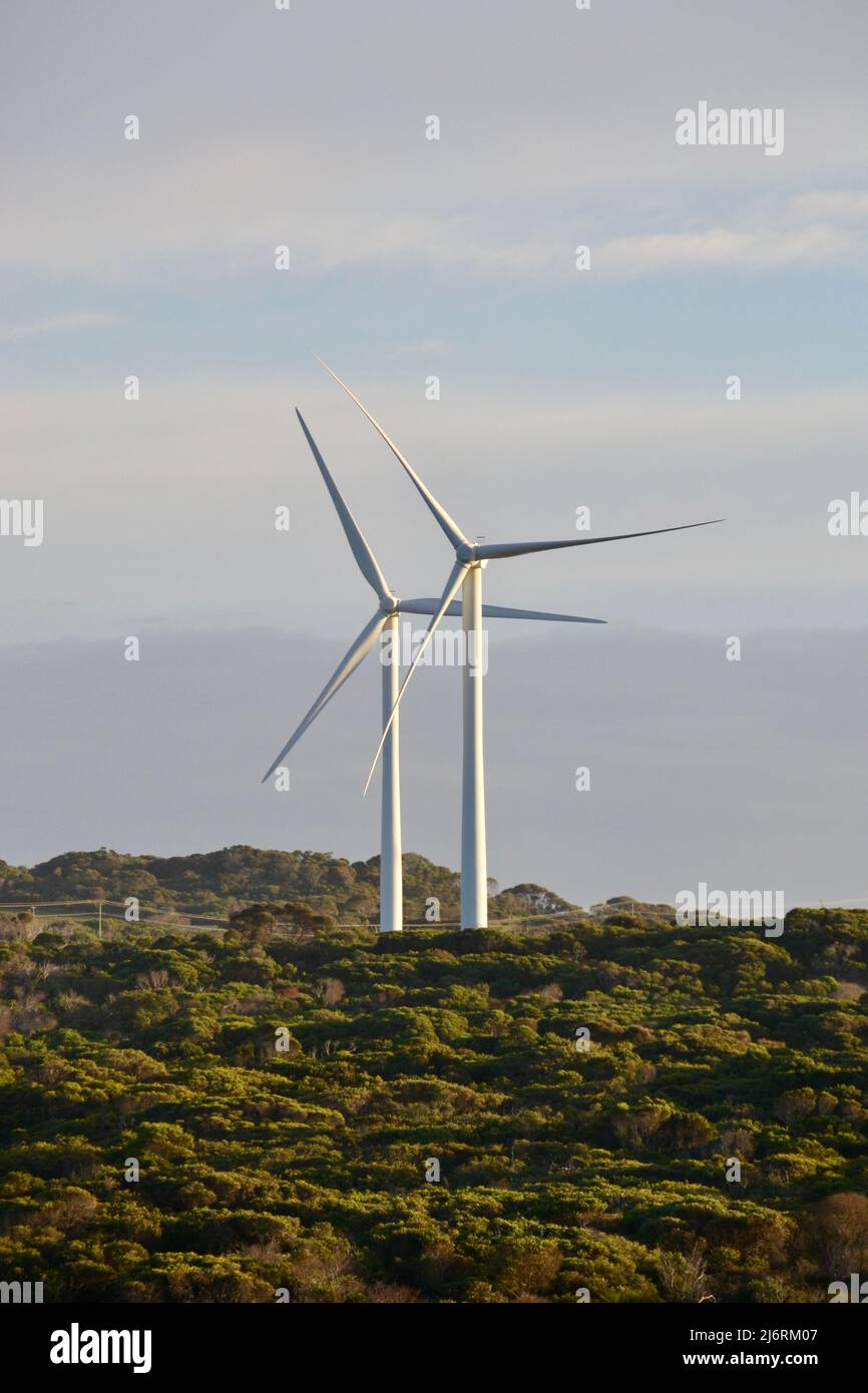 Wind turbines on a forest headland in southern Victoria, Australia ...