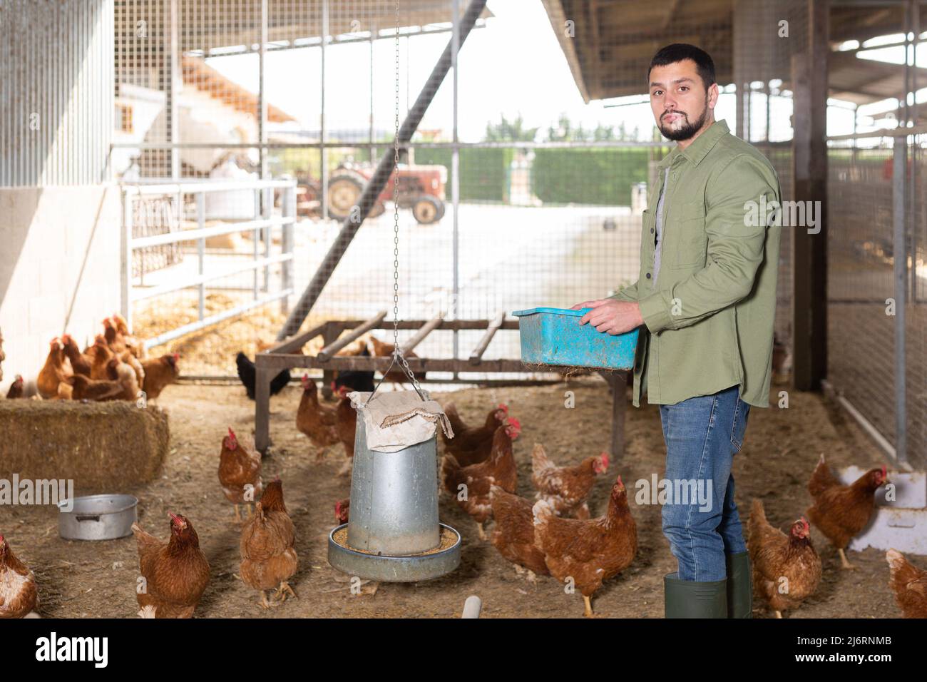 Male farmer feeding chickens in chicken coop Stock Photo - Alamy