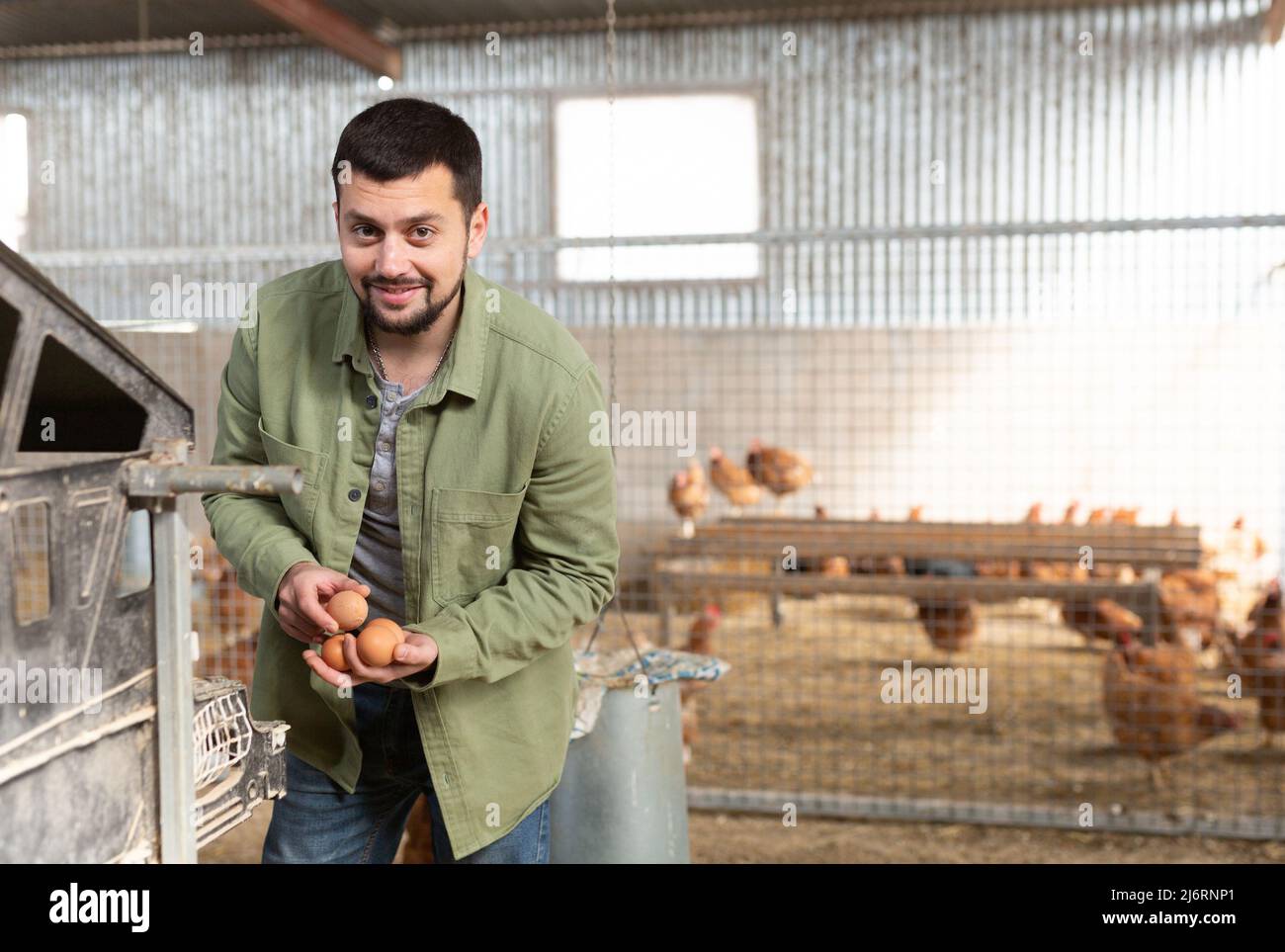 Man farmer with basket taking chickens eggs at chicken-house closeup ...