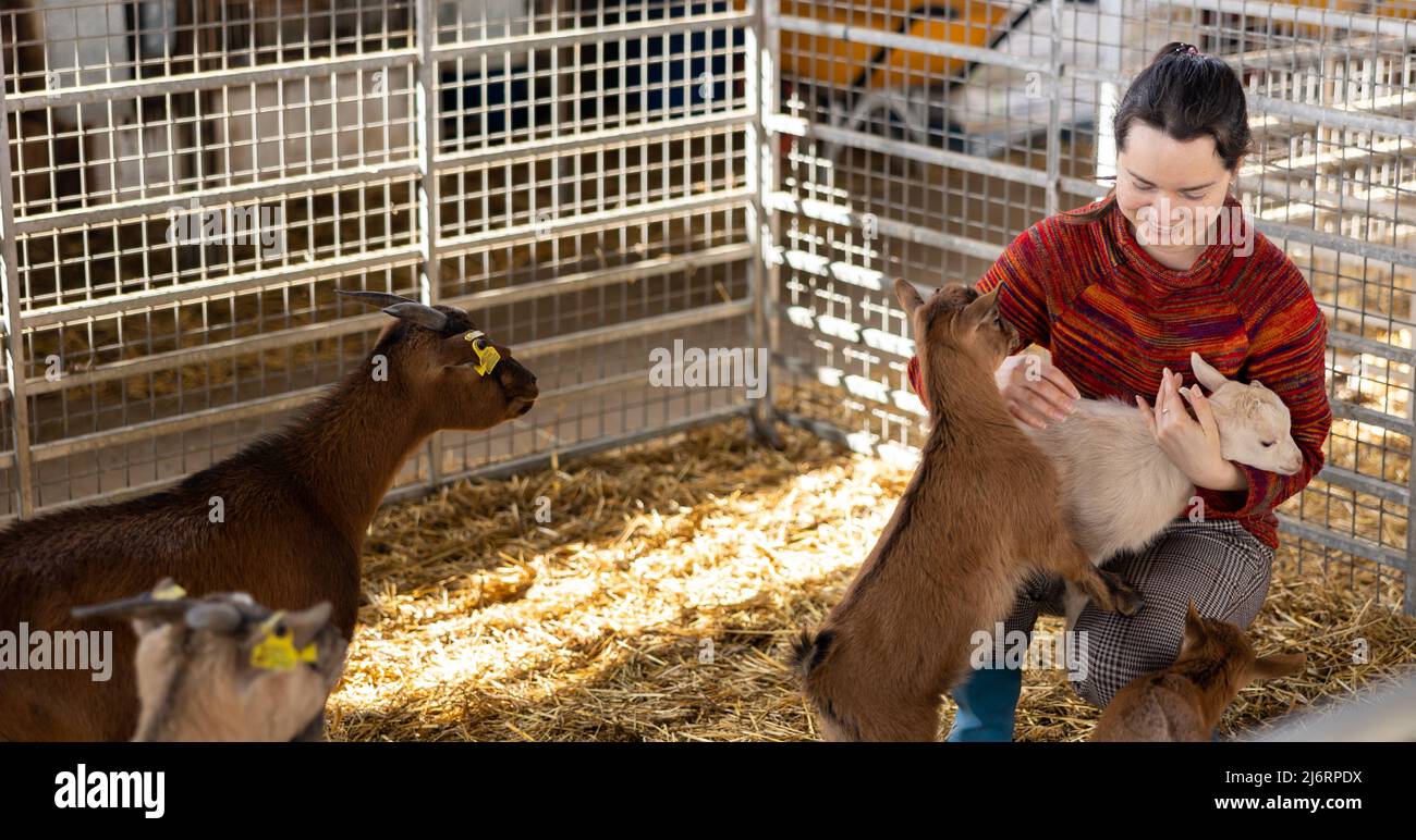Cheerful woman playing with goatlings in petting zoo stall Stock Photo ...