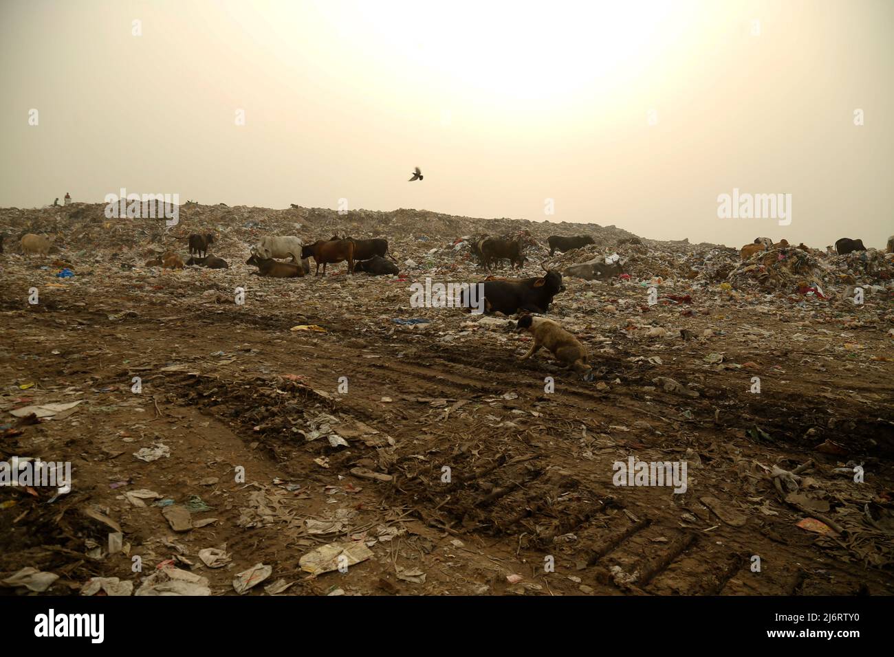 Garbage dumping at the Bhalswa landfill site spread over 36 acre ...