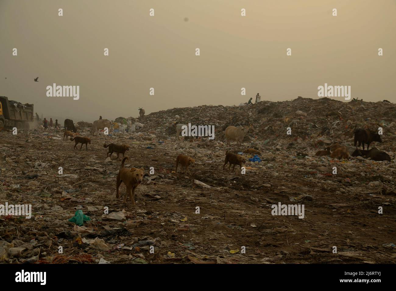 Garbage dumping at the Bhalswa landfill site spread over 36 acre ...