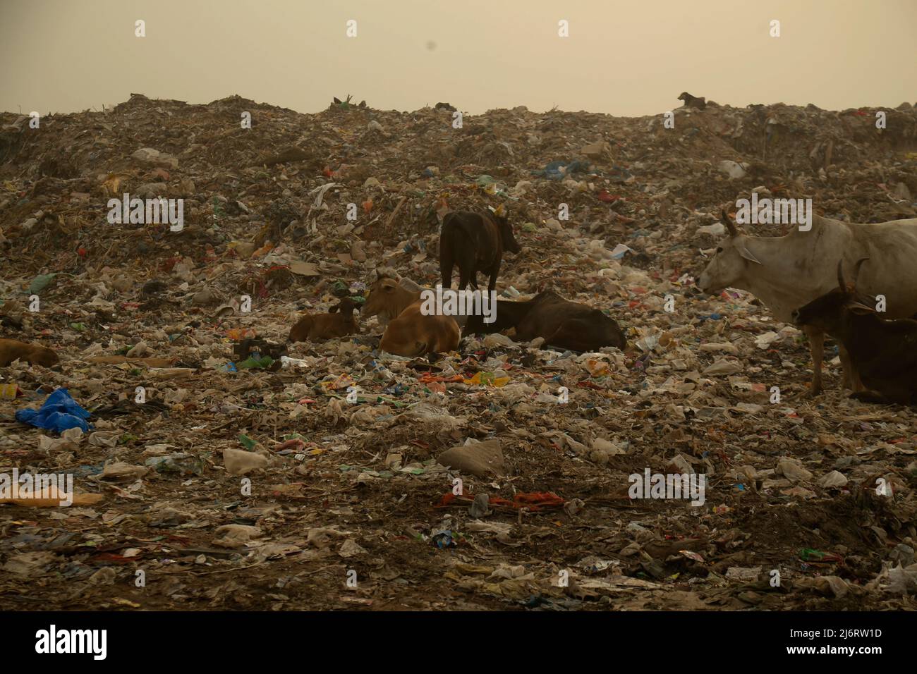 Garbage dumping at the Bhalswa landfill site spread over 36 acre ...