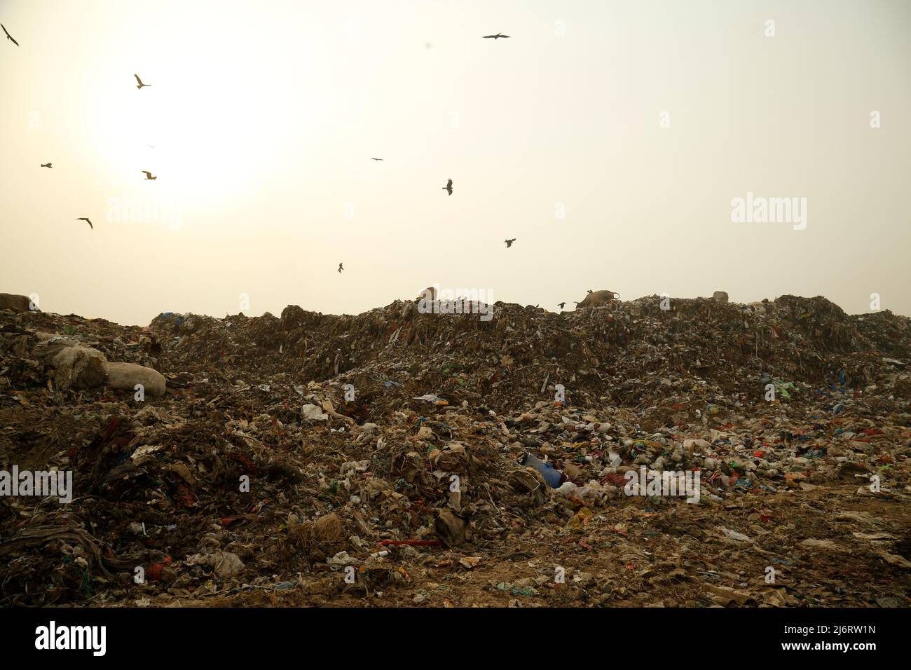 Garbage dumping at the Bhalswa landfill site spread over 36 acre ...