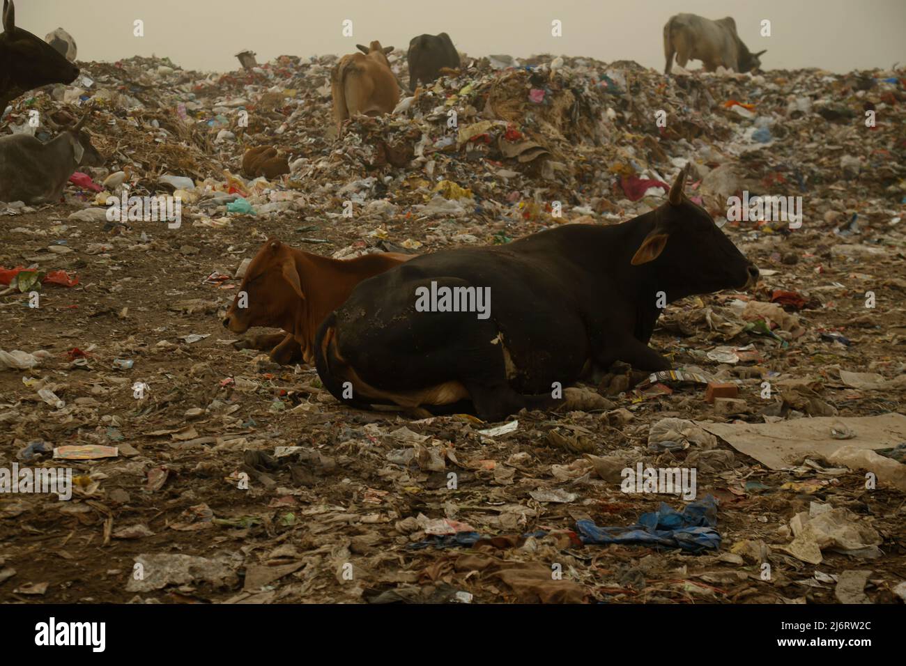 Garbage dumping at the Bhalswa landfill site spread over 36 acre ...