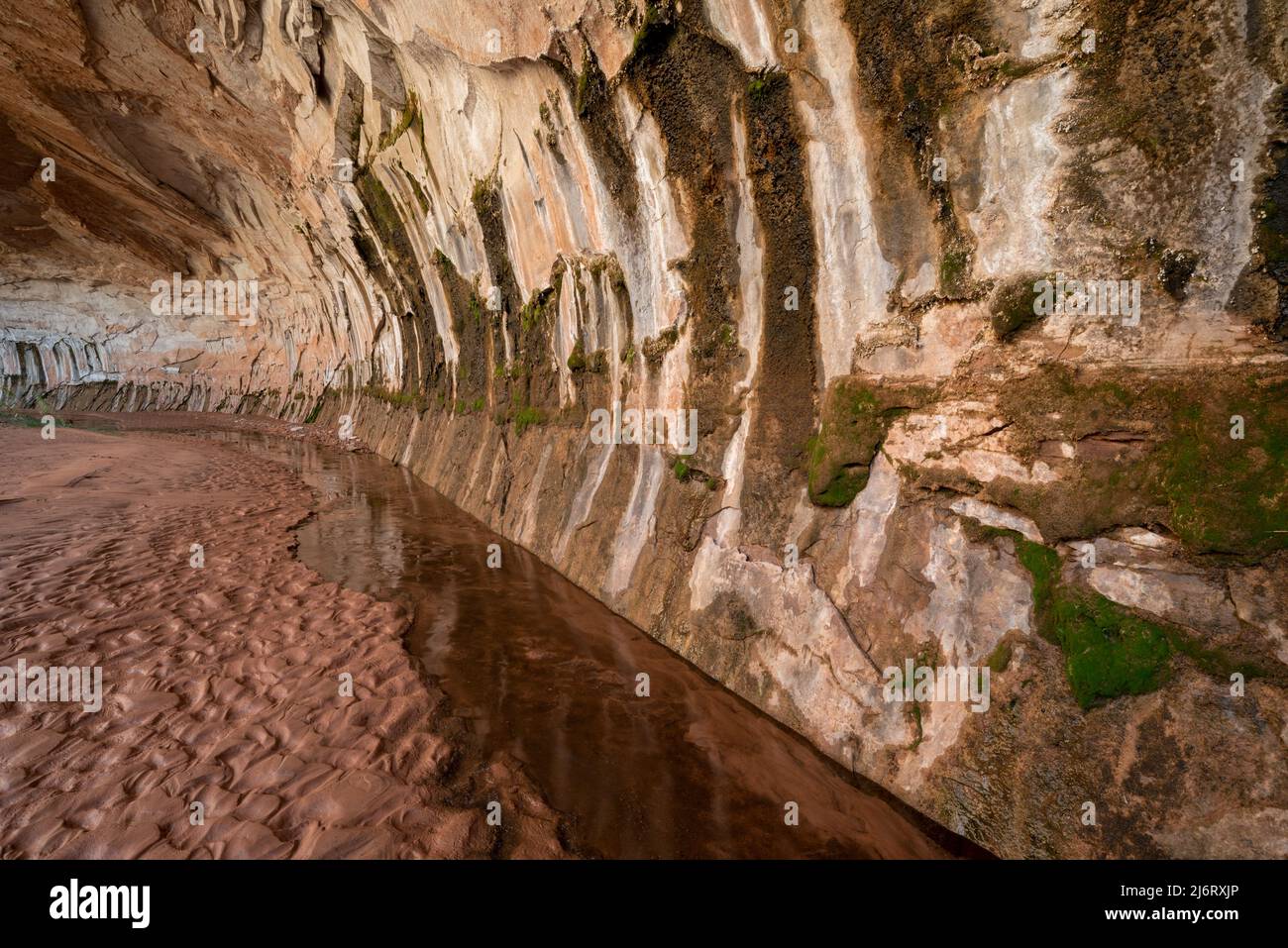 Seeps hi-res stock photography and images - Alamy