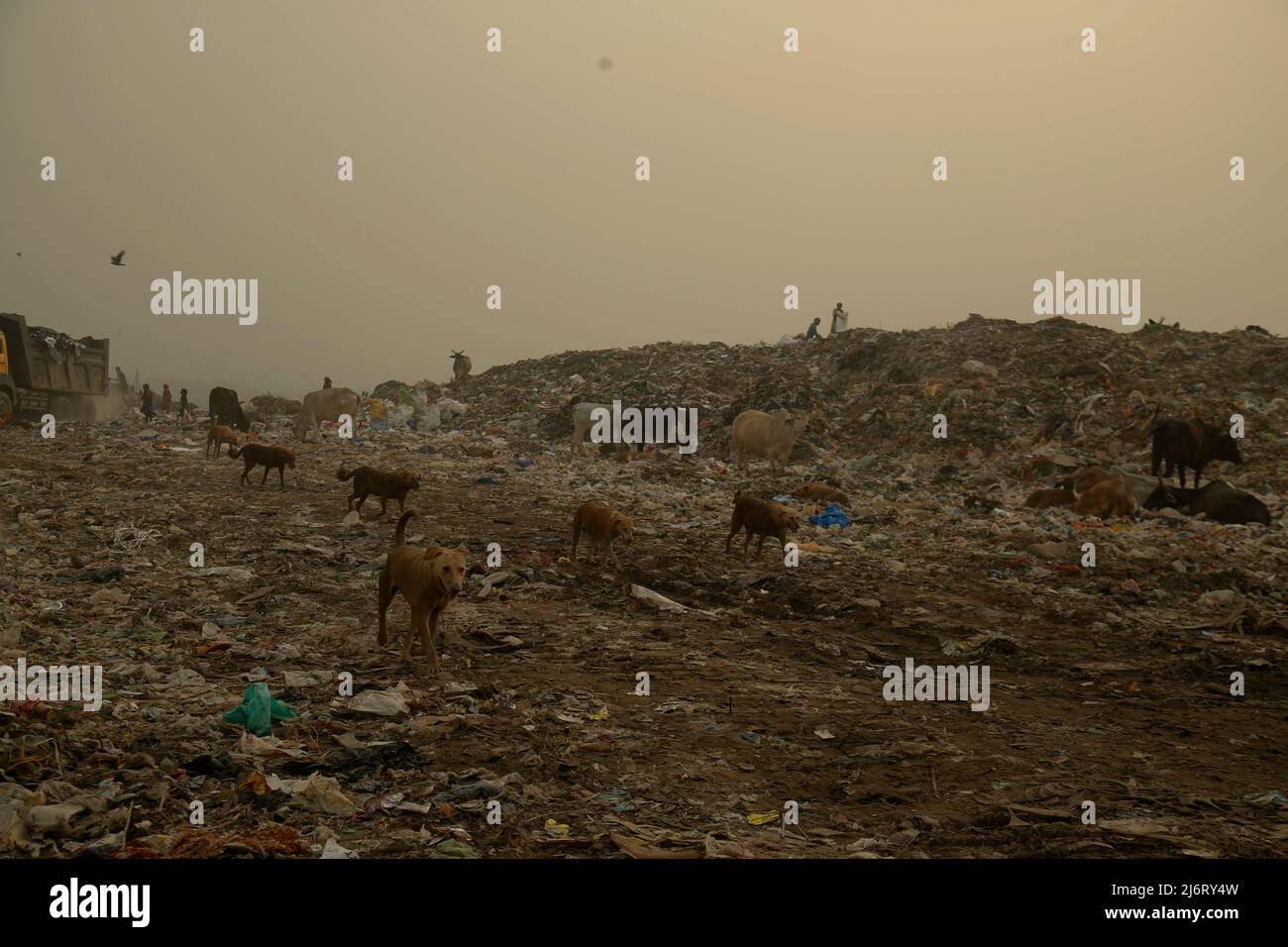 May 3, 2022, Delhi, Delhi, India: Garbage dumping at the Bhalswa ...