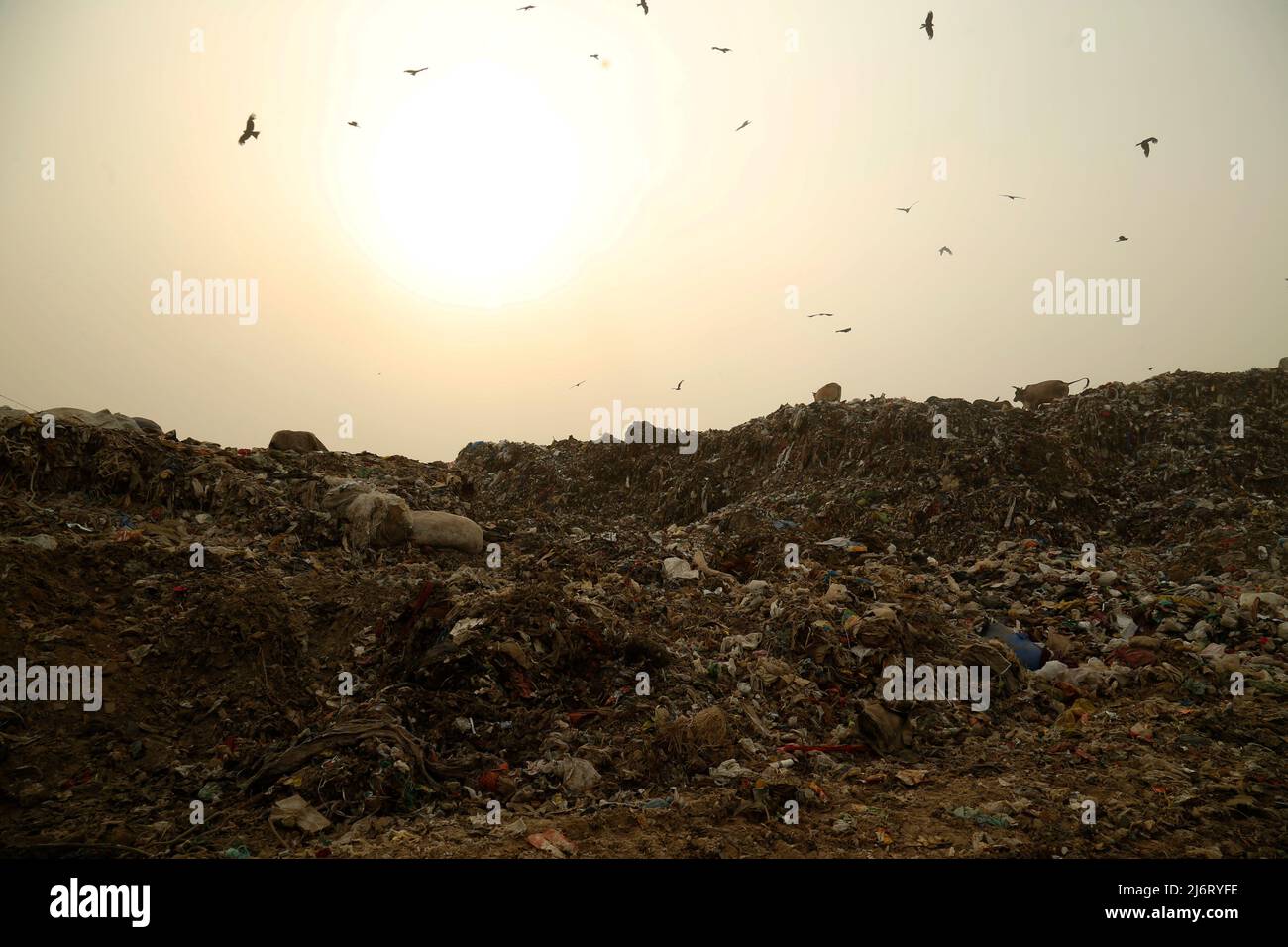 May 3, 2022, Delhi, Delhi, India: Garbage dumping at the Bhalswa ...