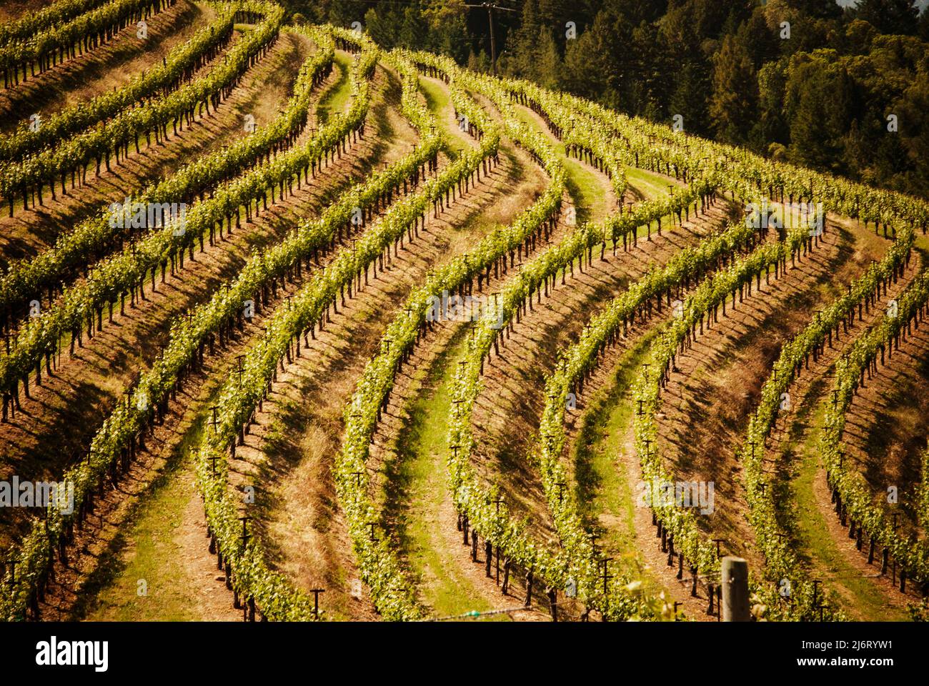 Farming, summer california hi-res stock photography and images - Alamy