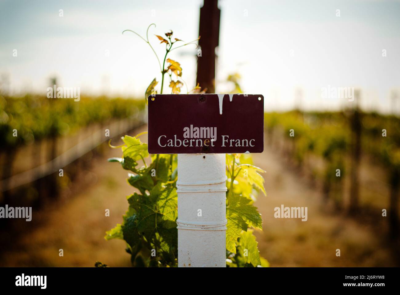 Vineyard trail sign hi-res stock photography and images - Alamy