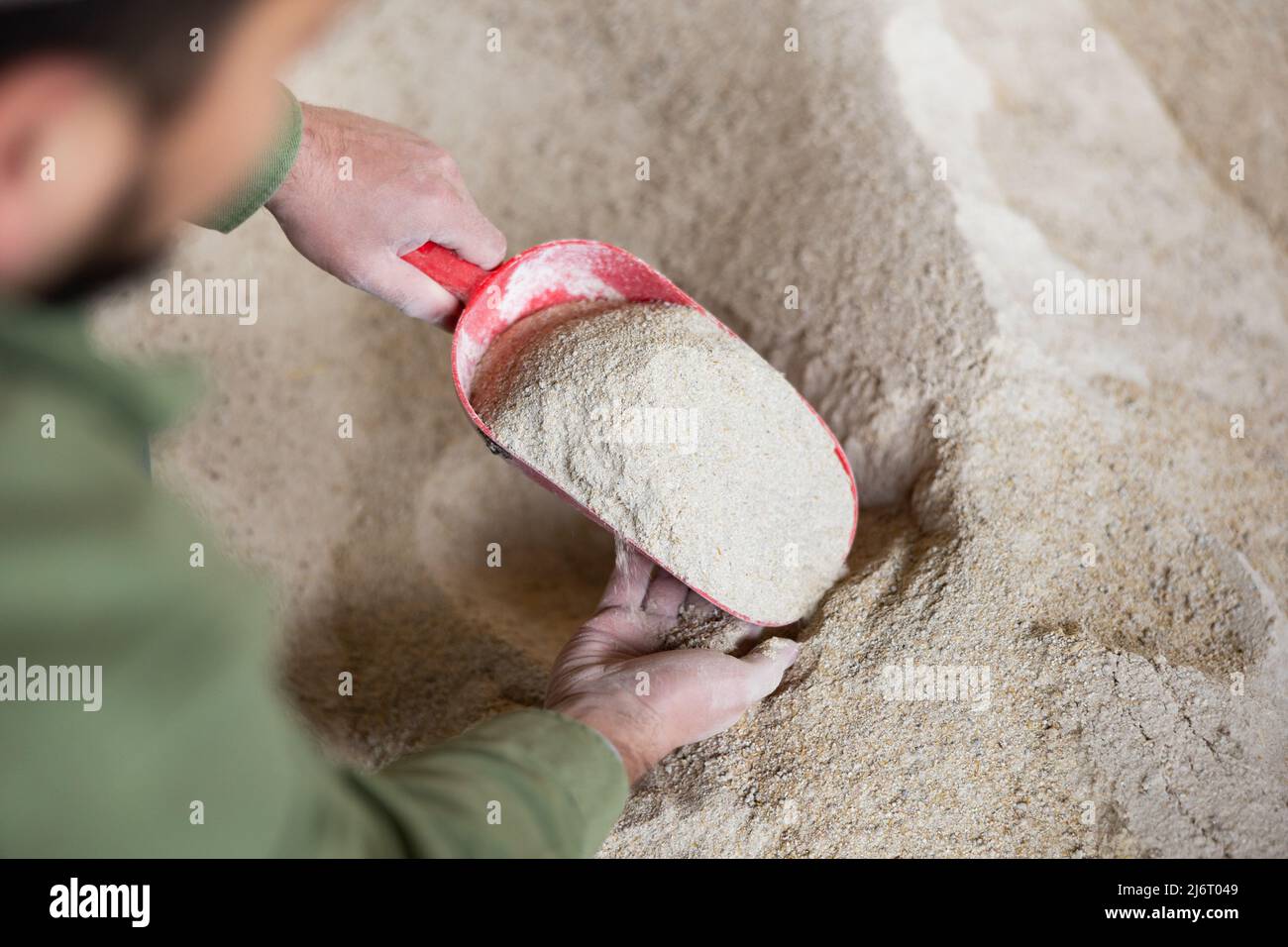 Corn flour cattle feed in farm storage Stock Photo - Alamy