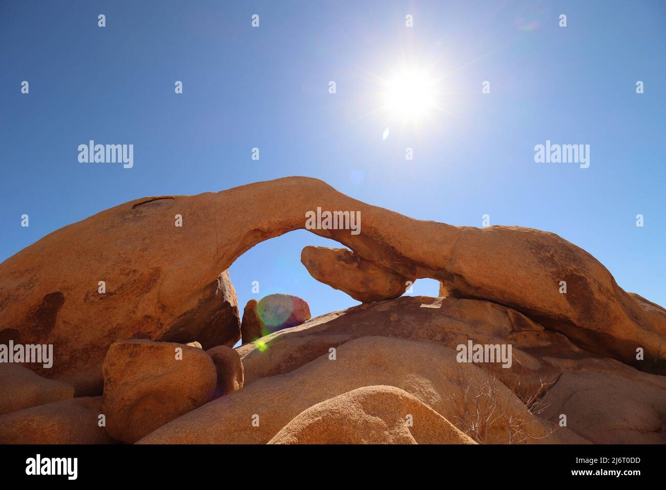 Arch Rock Trail at Joshua Tree National Park Stock Photo - Alamy