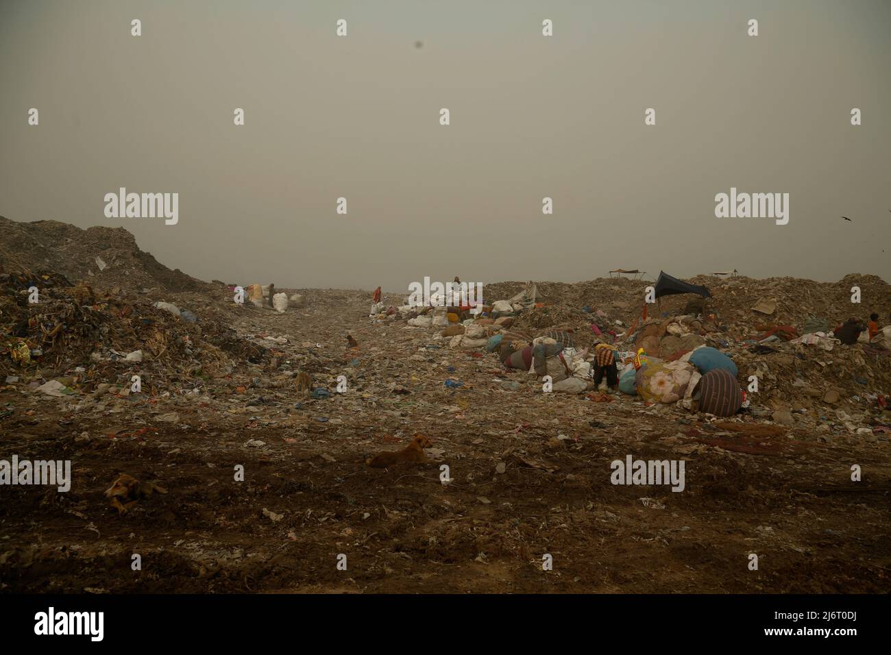 May 3, 2022, Delhi, Delhi, India: Garbage dumping at the Bhalswa ...