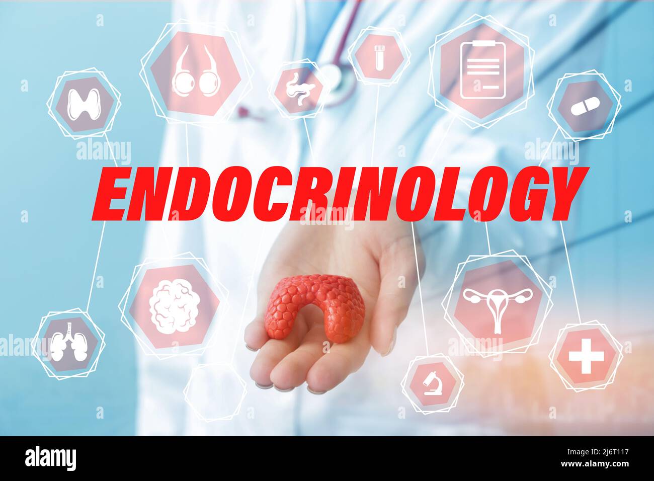 Endocrinologist with model of thyroid gland, closeup Stock Photo - Alamy