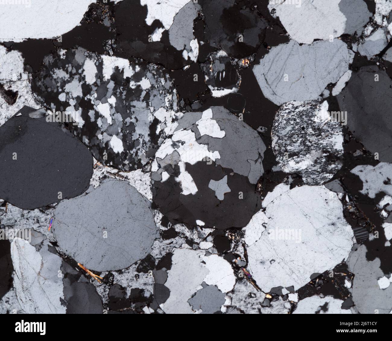 Bunter sandstone, light micrograph Stock Photo - Alamy