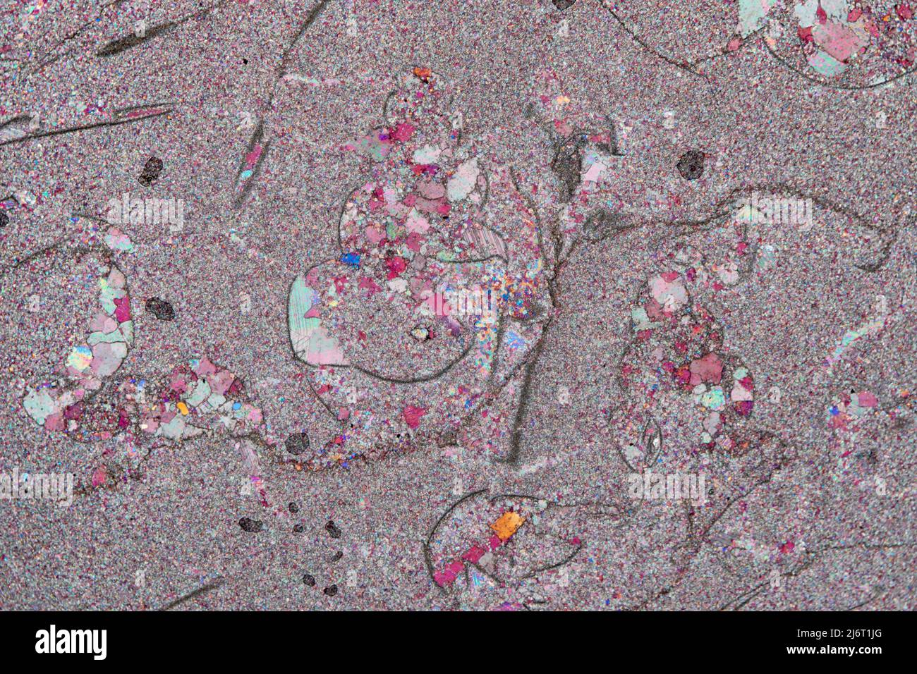 Limestone, light micrograph Stock Photo - Alamy