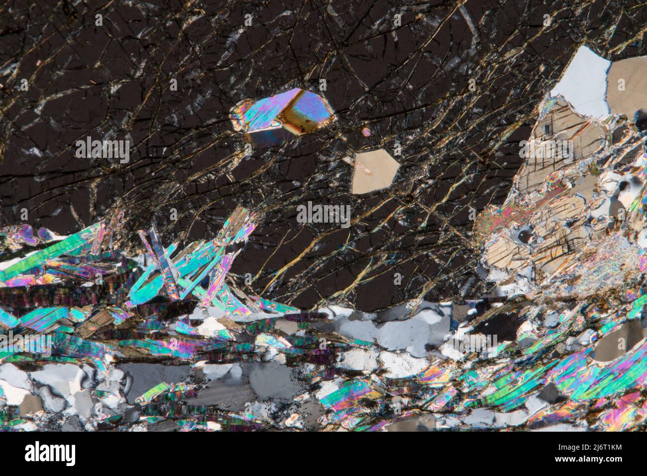 Migmatite, light micrograph Stock Photo - Alamy