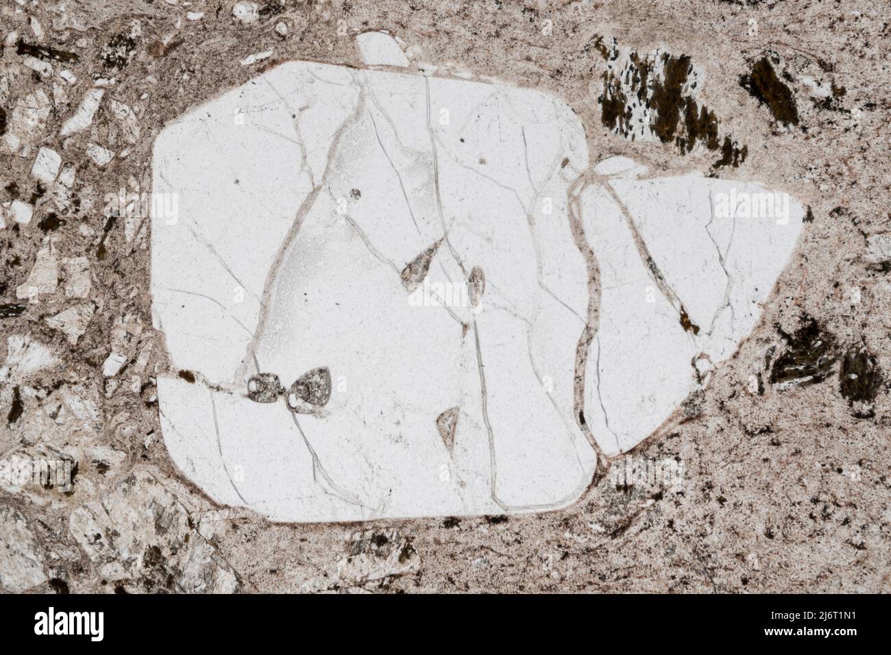 Rhyolite, light micrograph Stock Photo - Alamy