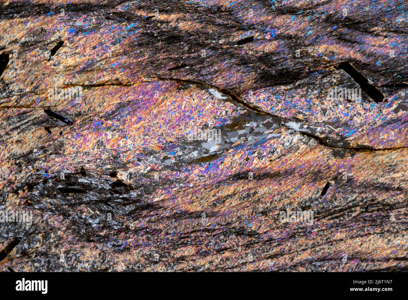 Quartz phyllite, light micrograph Stock Photo - Alamy
