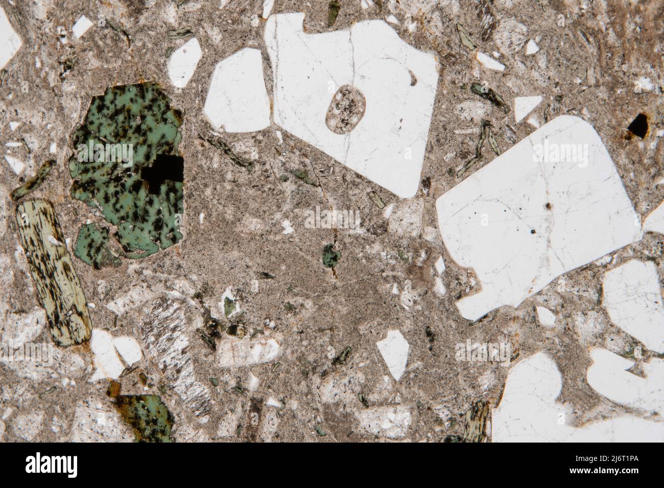 Rhyolite, light micrograph Stock Photo - Alamy