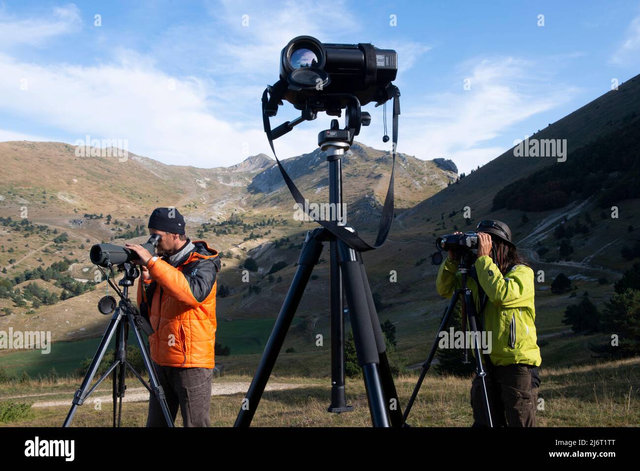 Researchers using infrared camera to study wolves and sheep Stock Photo ...
