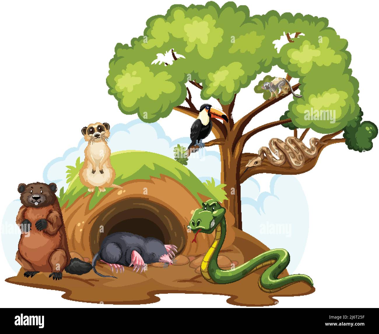 Various wild animals with burrow on white background illustration Stock ...