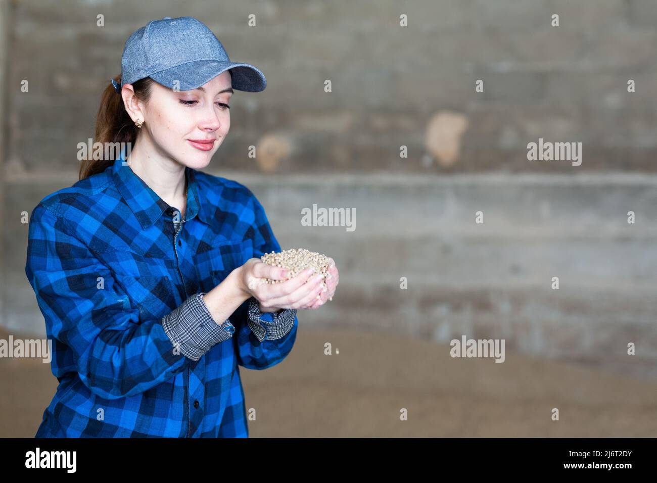 Portrait of woman farmer with a handful of feed calf feed in her hands ...