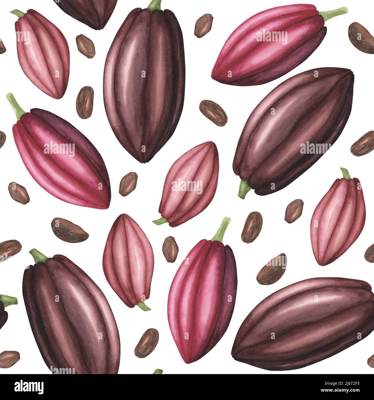 Cocoa pod with beans seamless pattern on white background. Watercolor ...