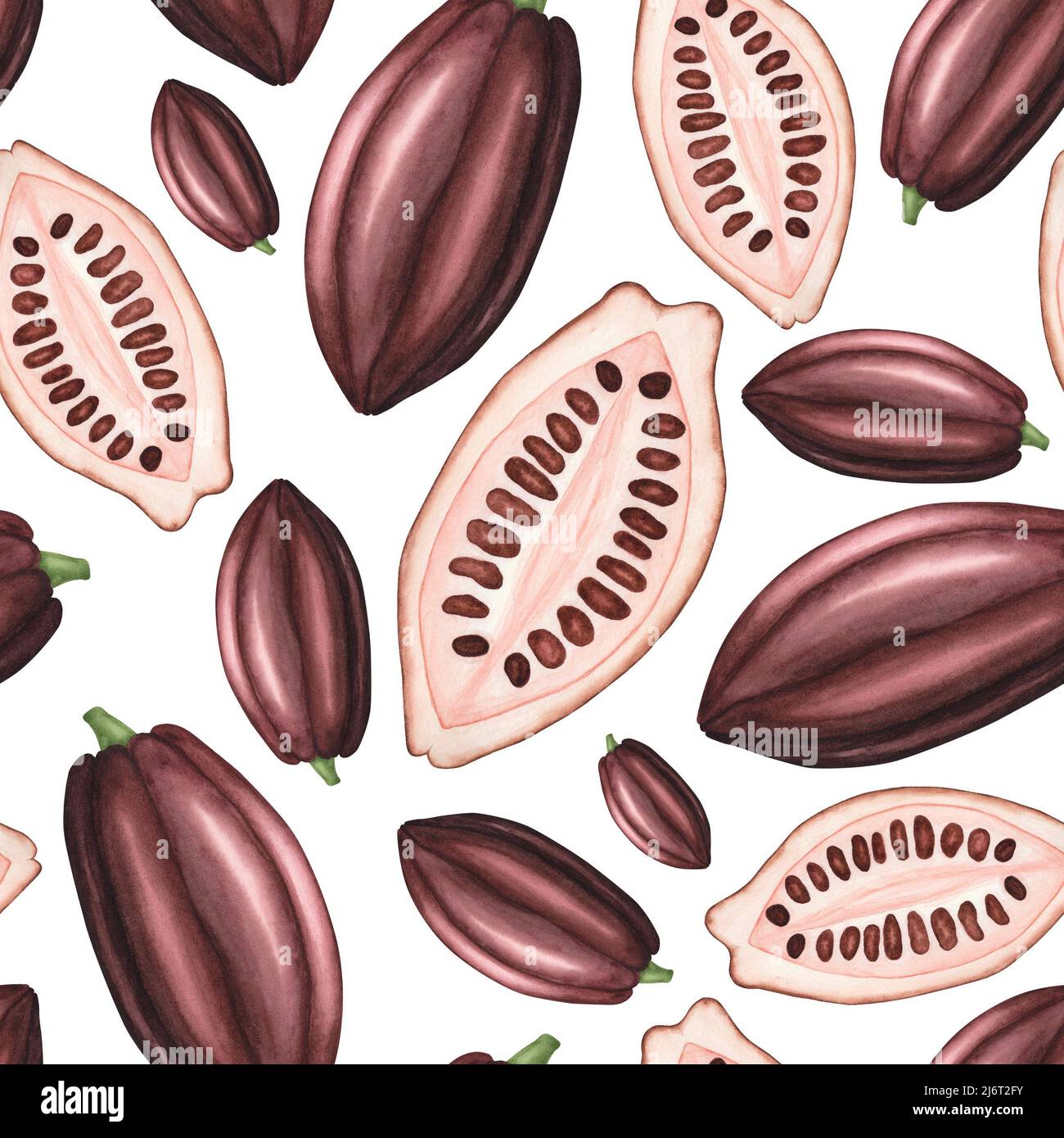 Ripe Cocoa pod with beans seamless pattern on white background ...